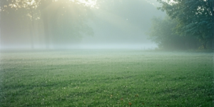 Dew Point And Comfort Levels – WeatherSend