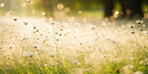 Pollen Dispersion Trends And Allergy Seasons – WeatherSend